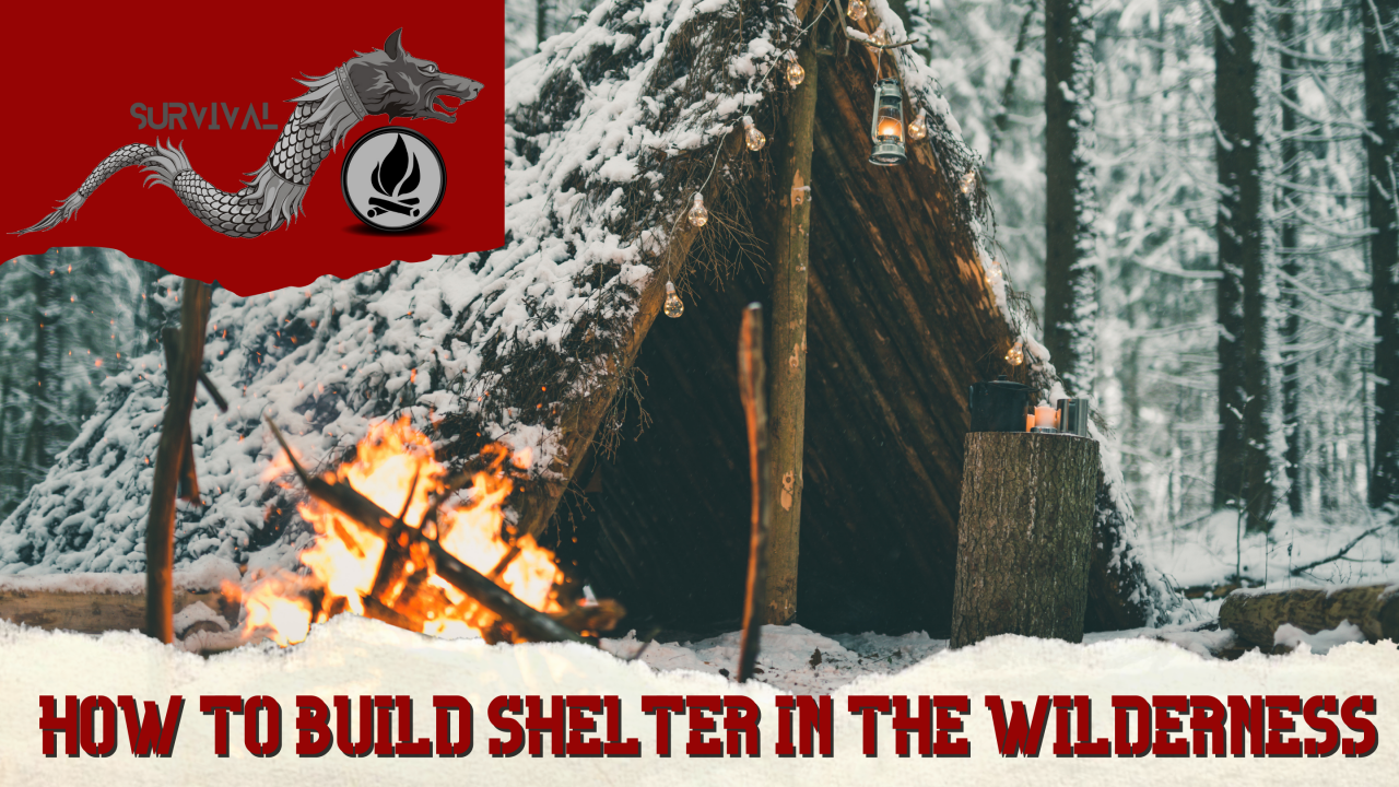 How to Build Shelter in the Wilderness | Tactical-Combat-System-School ...