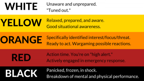 COMBAT MINDSET INTRO- PART 1 | Tactical-Combat-System-School-Of-Survival